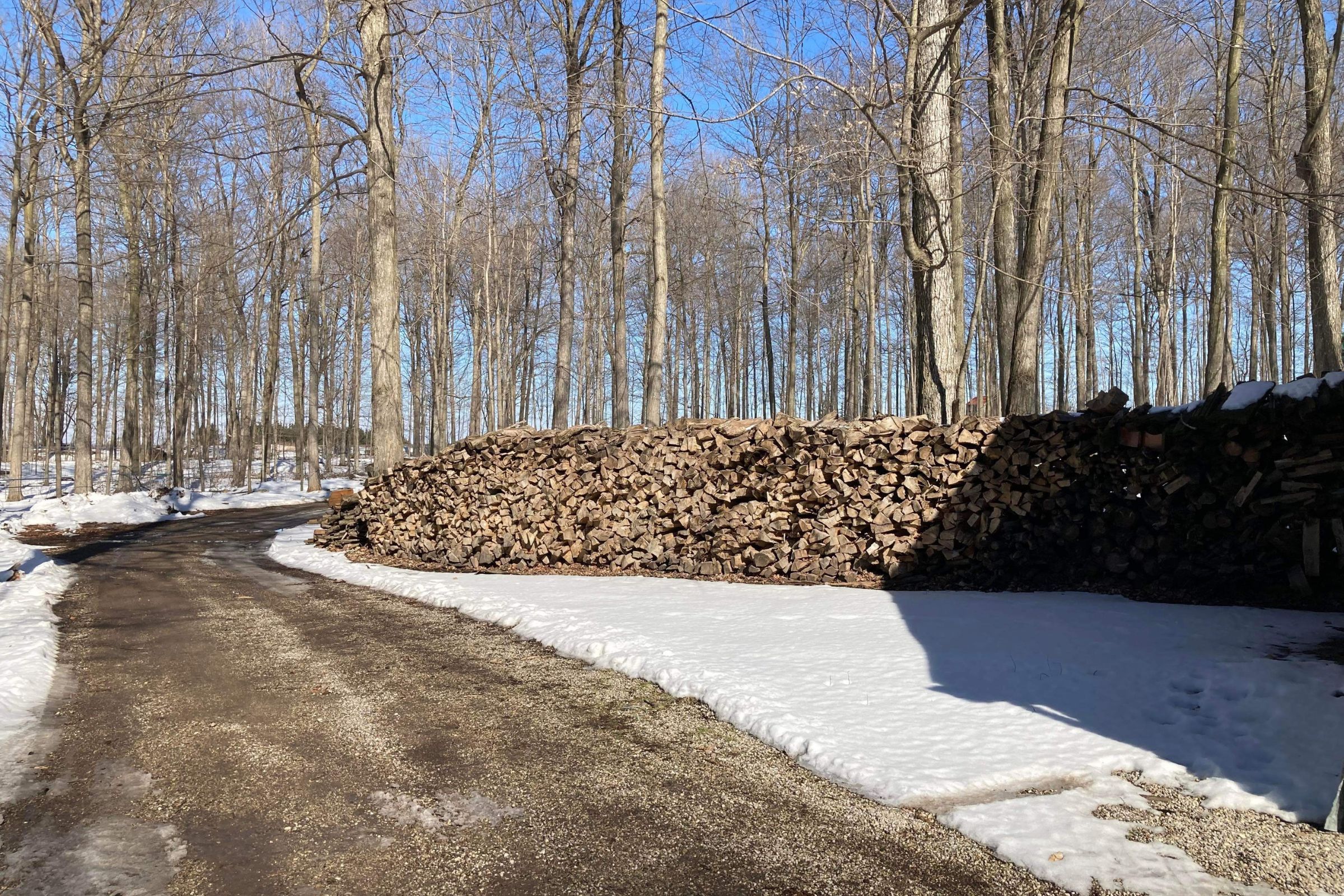 Sugar Bush Tours - Elmira Maple Syrup Festival