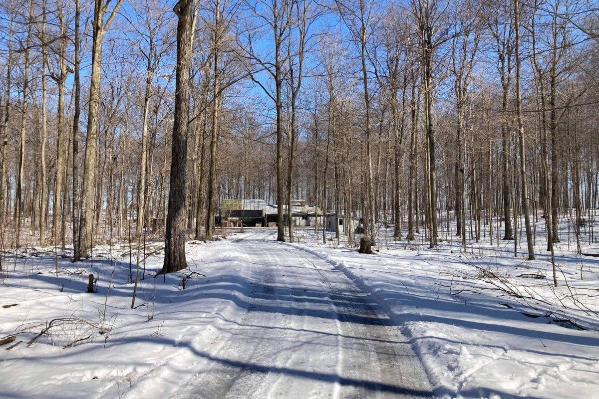 Sugar Bush Tours - Elmira Maple Syrup Festival